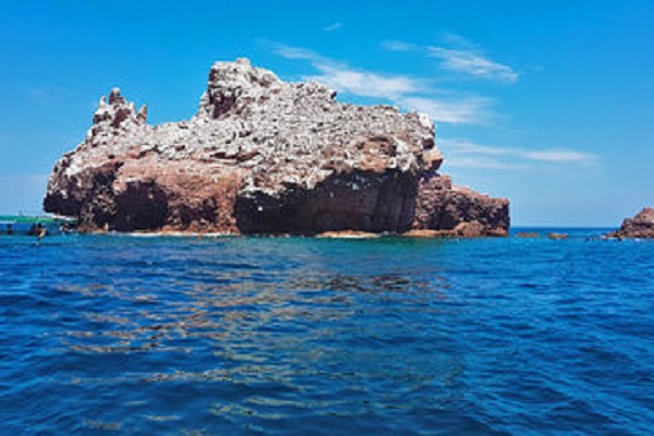Mar de Cortés debe ser una Gran Reserva de la Biosfera – Imagen ...