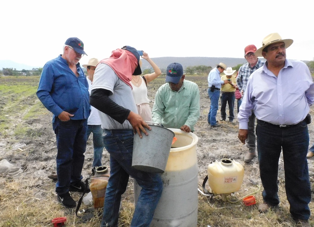 Dr.-Marcel-Morales-Ibarra-campo - Imagen Agropecuaria